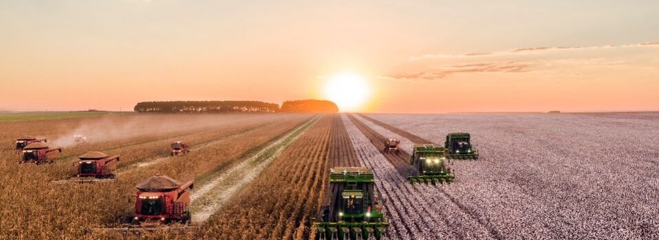 Vous souhaitez créer un GAEC ? Cet article est pour vous.